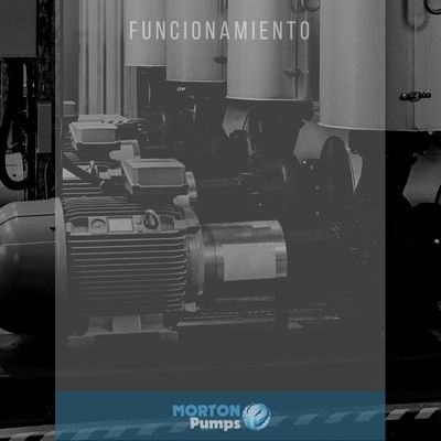 Bombas Centrífugas Horizontales -[ Morton Pumps, S.A. de C.V. ] -