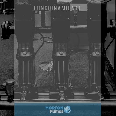 Bombas Verticales Multietapas - [ Morton Pumps, S.A. de C.V. ] -